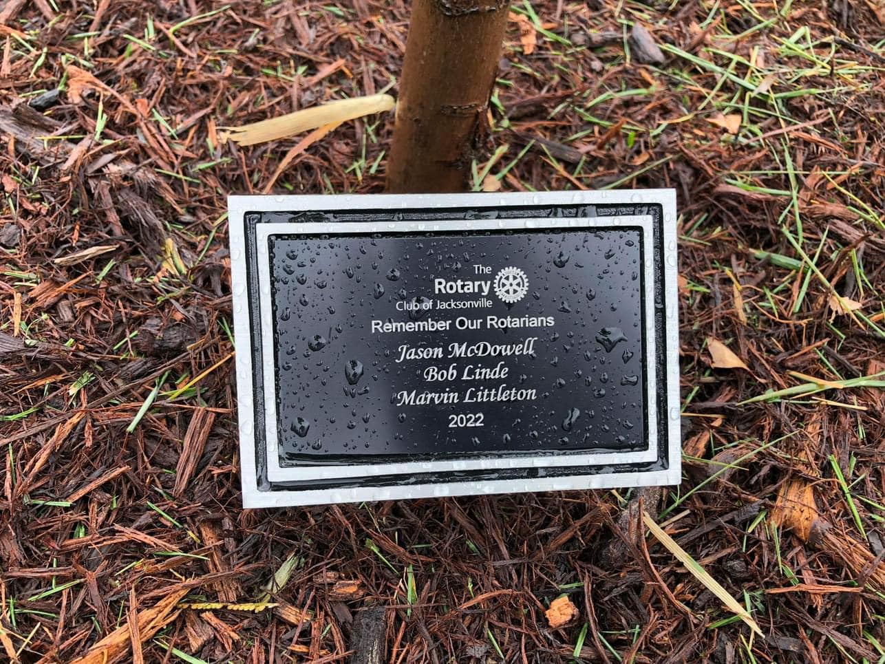 Rotary Green Starts Rotary Grove at Nichols Park – WLDS
